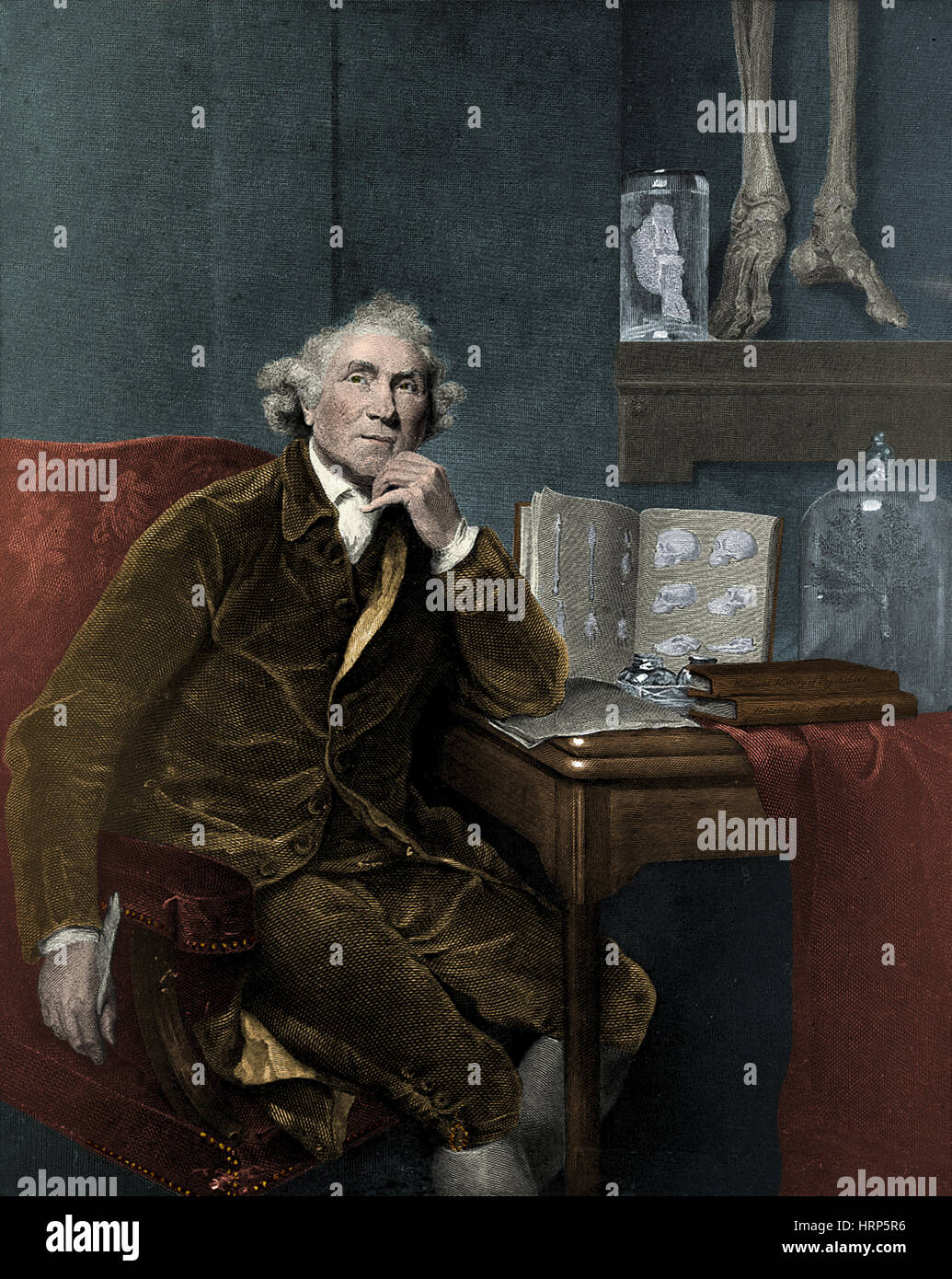 John Hunter High Resolution Stock Photography and Images - Alamy