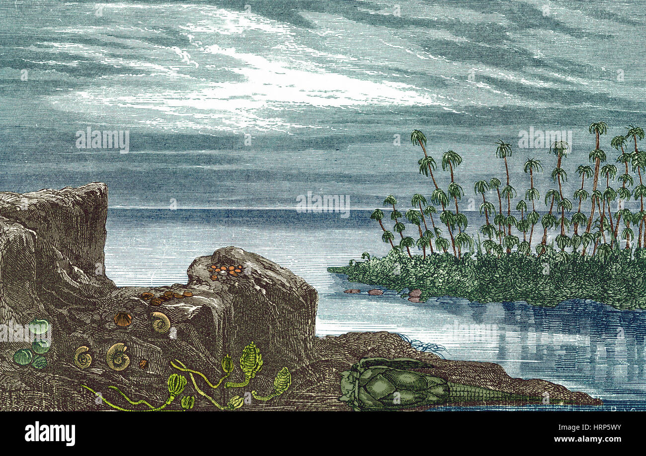 Devonian period landscape hi-res stock photography and images - Alamy