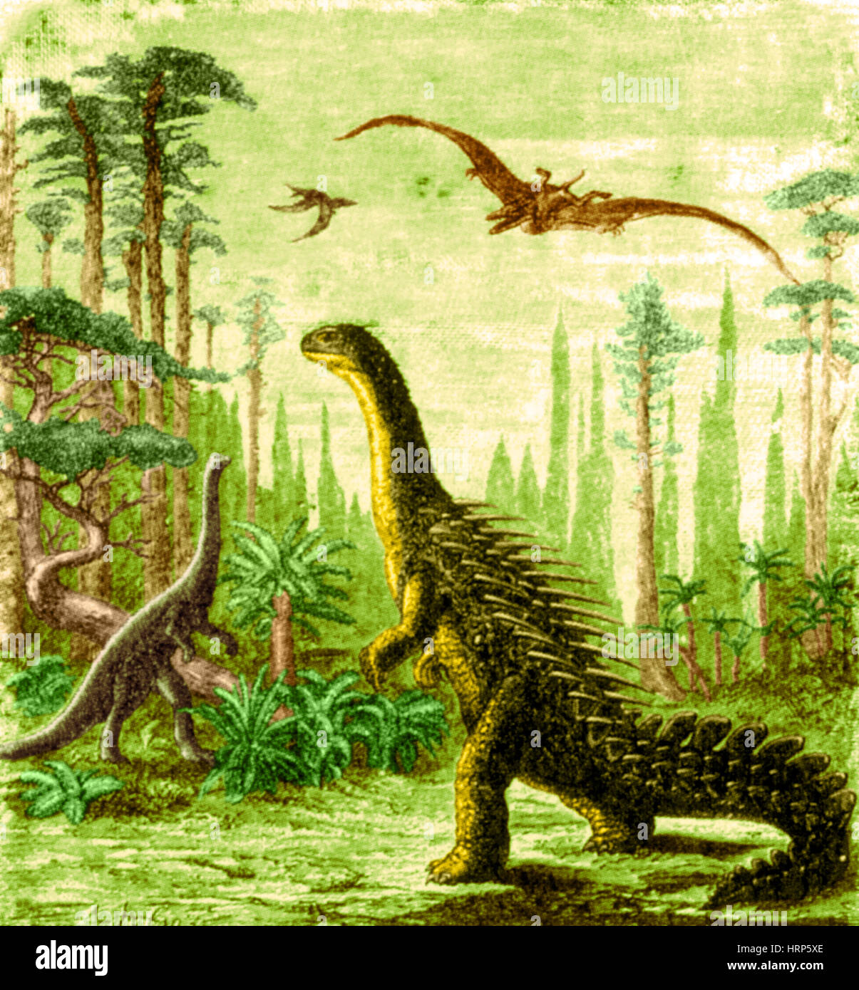 Stegosaurus and Compsognathus Dinosaurs Stock Photo - Alamy