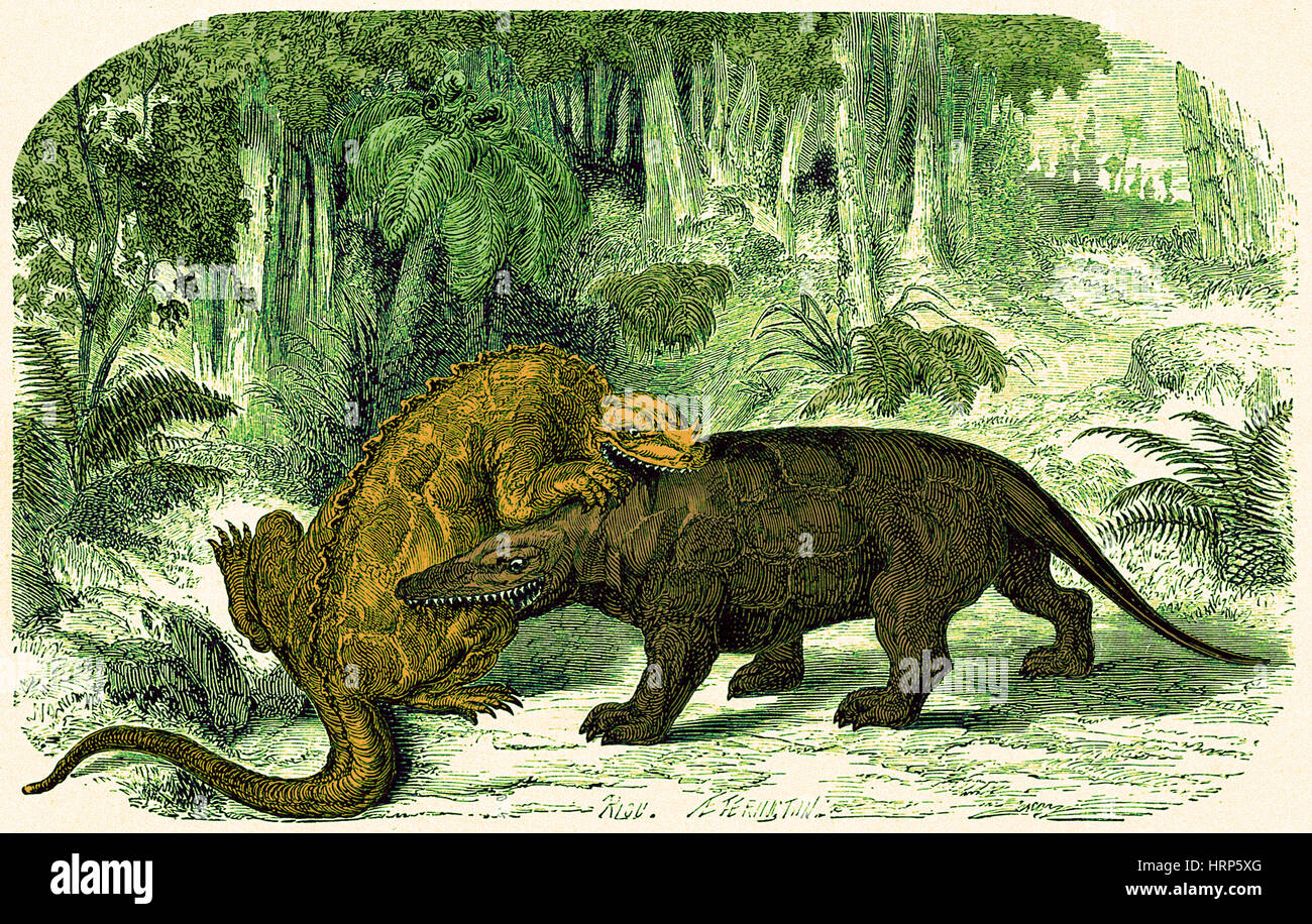 Iguanodon hi-res stock photography and images - Alamy