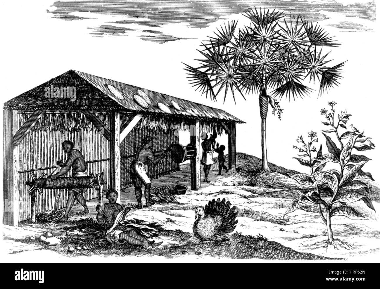 Chattel Slavery Stock Photos & Chattel Slavery Stock Images - Alamy