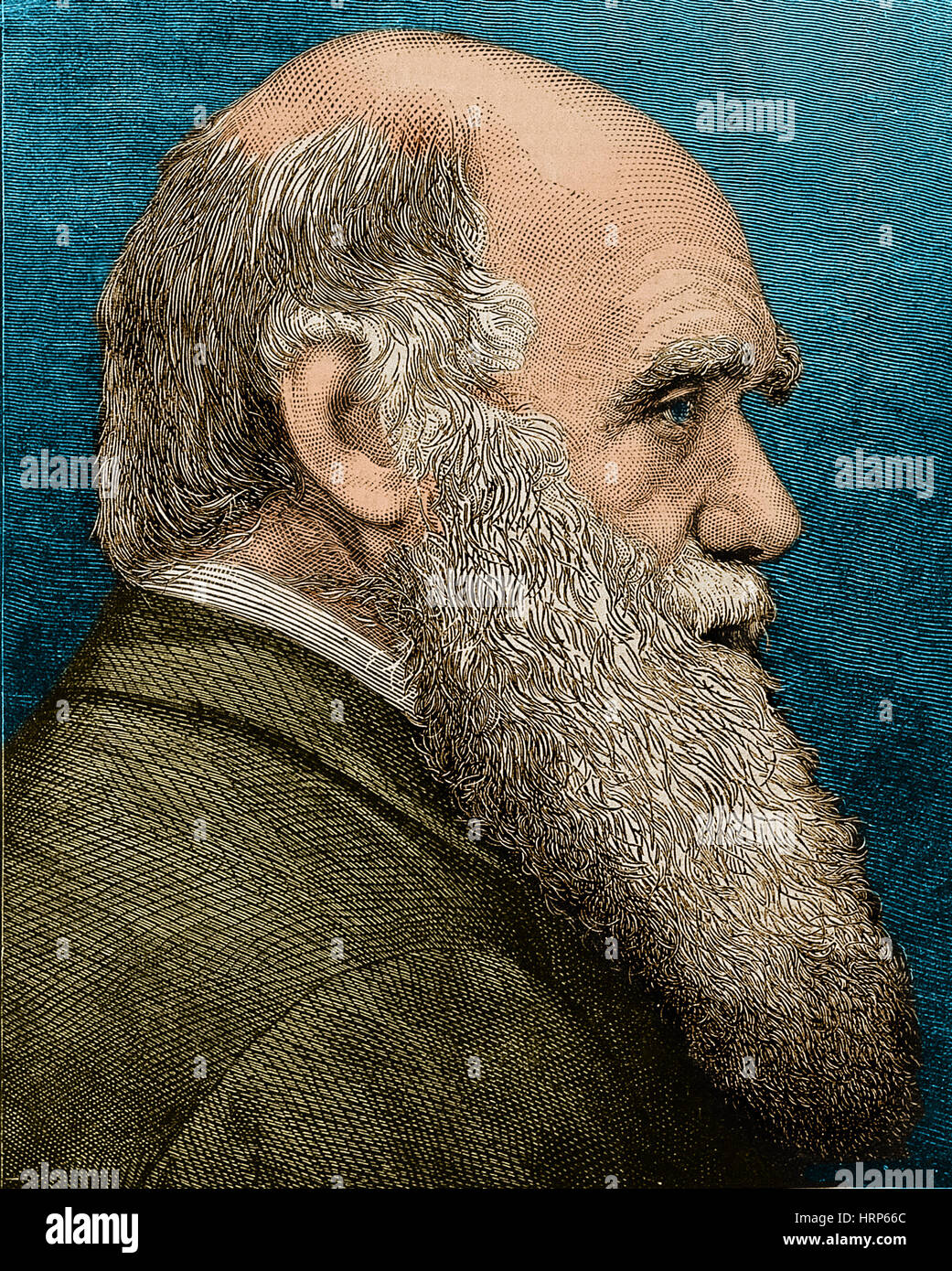 Charles darwin hi-res stock photography and images - Alamy