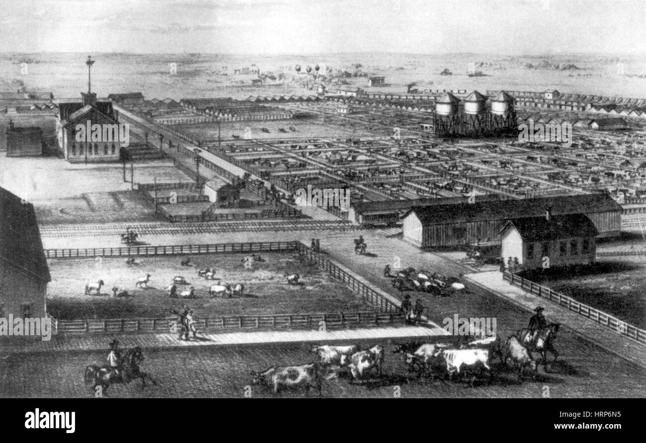 Chicago, Union Stock Yard, 19th Century Stock Photo - Alamy