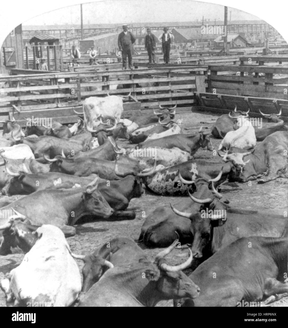 Chicago illinois us usa Black and White Stock Photos & Images - Alamy