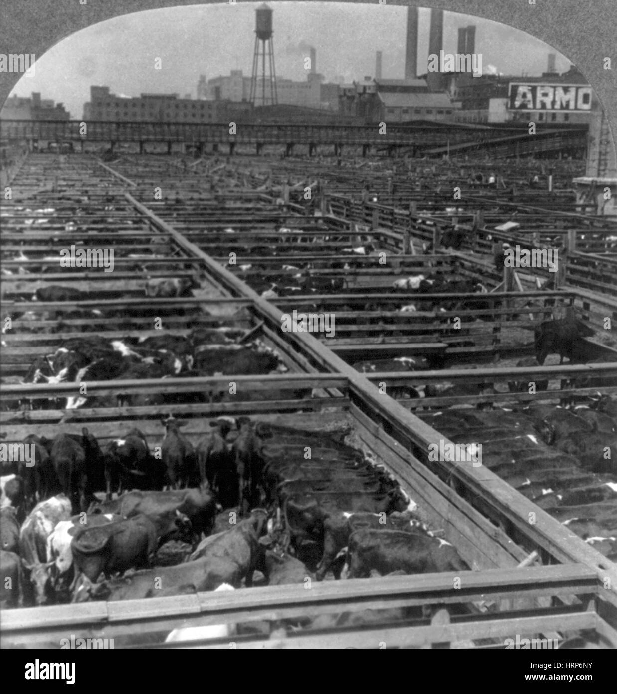 Chicago stockyard hi-res stock photography and images - Alamy
