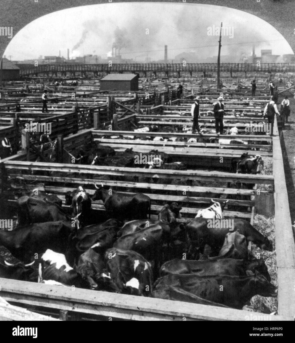 1900s chicago hi-res stock photography and images - Alamy