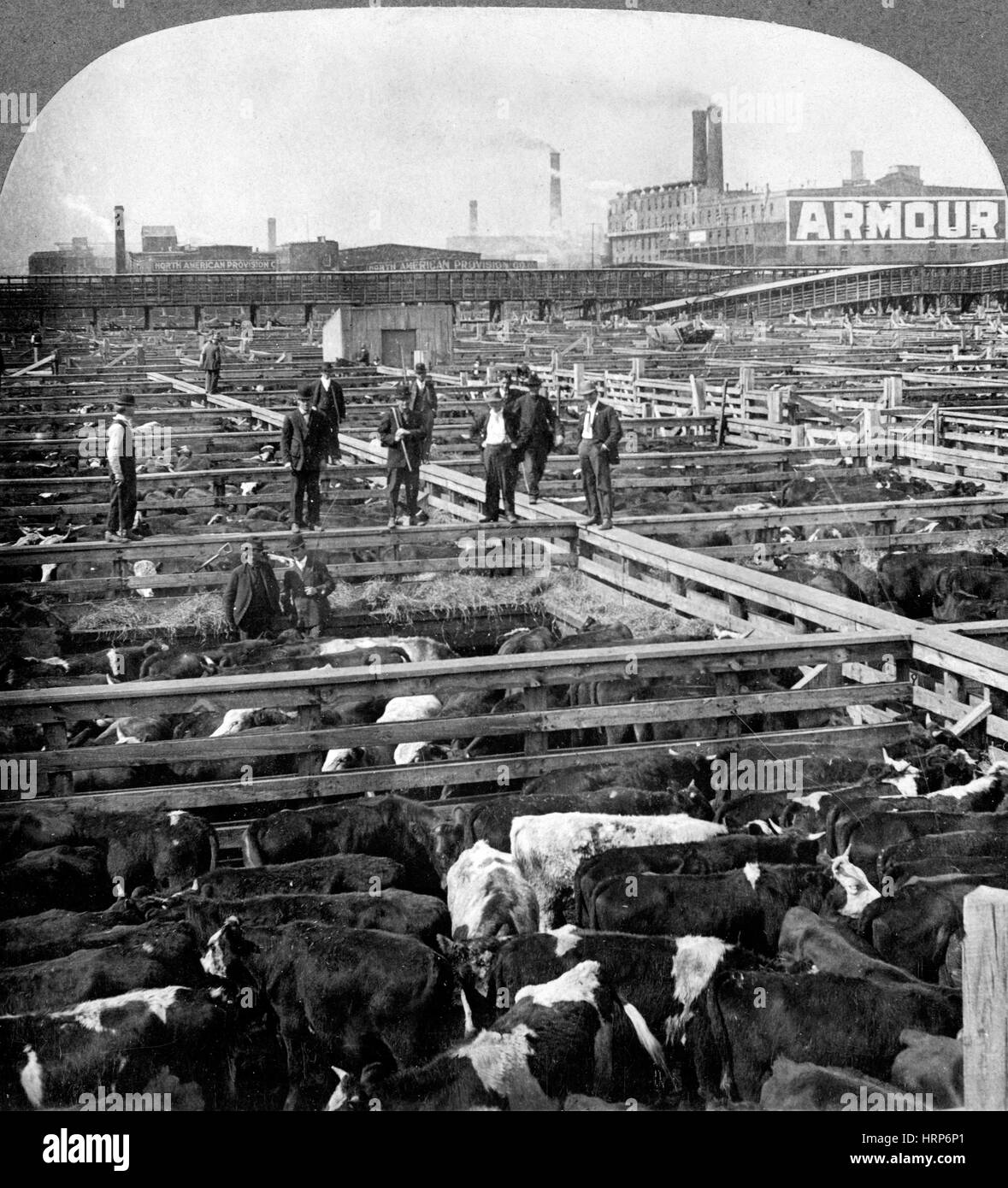 Meat packing 1900s hi-res stock photography and images - Alamy