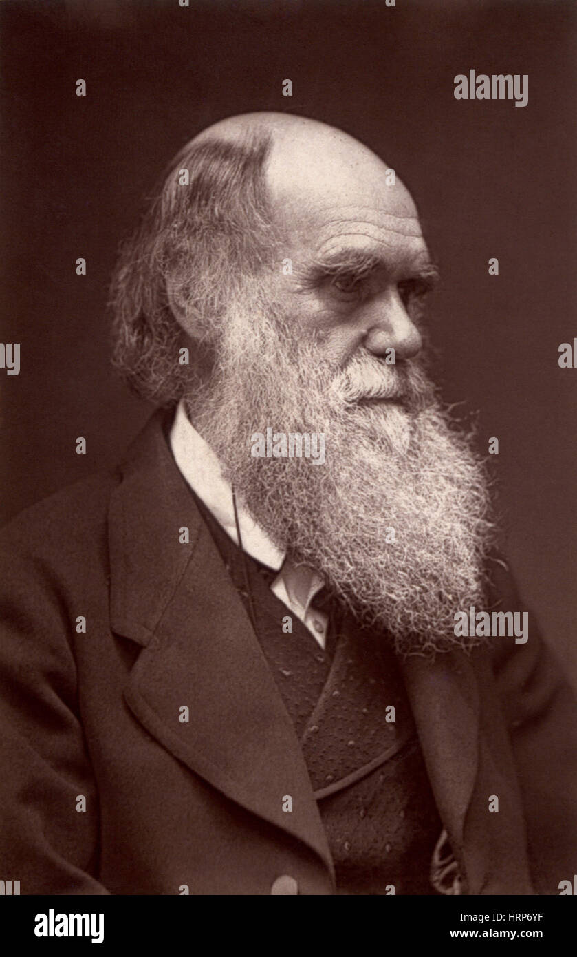 Charles darwin portrait hi-res stock photography and images - Alamy