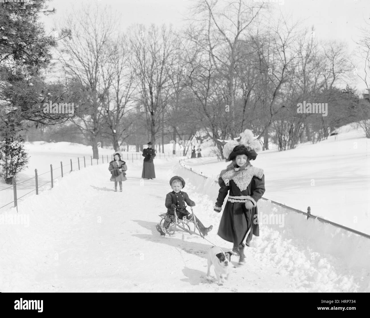 History Of New York Central Park at Jasper Saranealis blog
