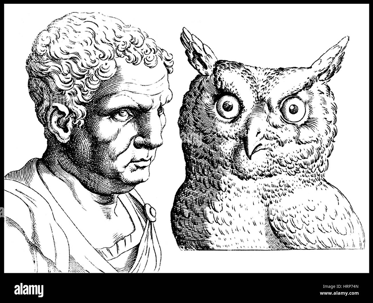 Man and Owl, "De humana physiognomonia", 1586 Stock Photo - Alamy
