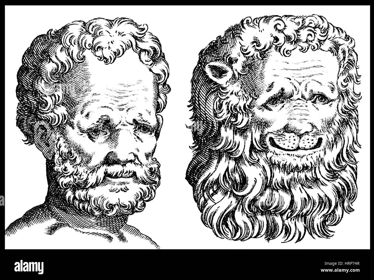 Lion Faced Man