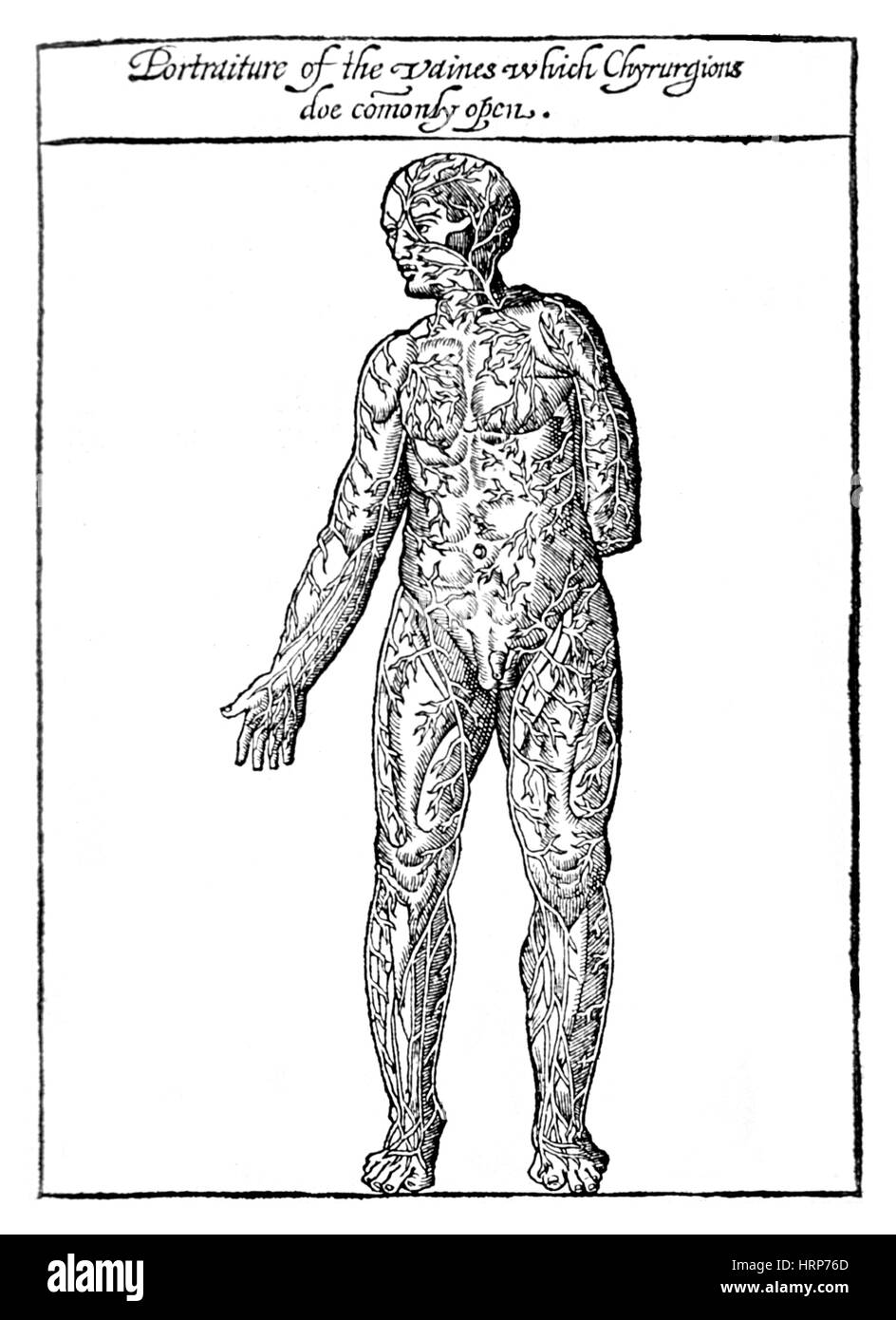 Bloodletting hi-res stock photography and images - Alamy