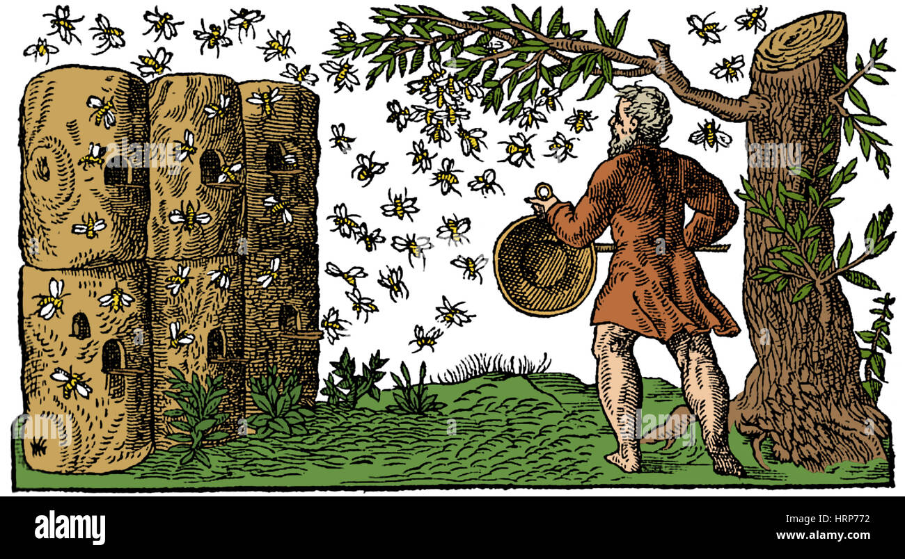 Medieval yard illustration hi-res stock photography and images - Alamy