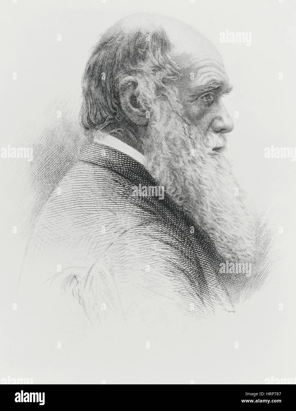 Charles Robert Darwin, English Naturalist Stock Photo - Alamy