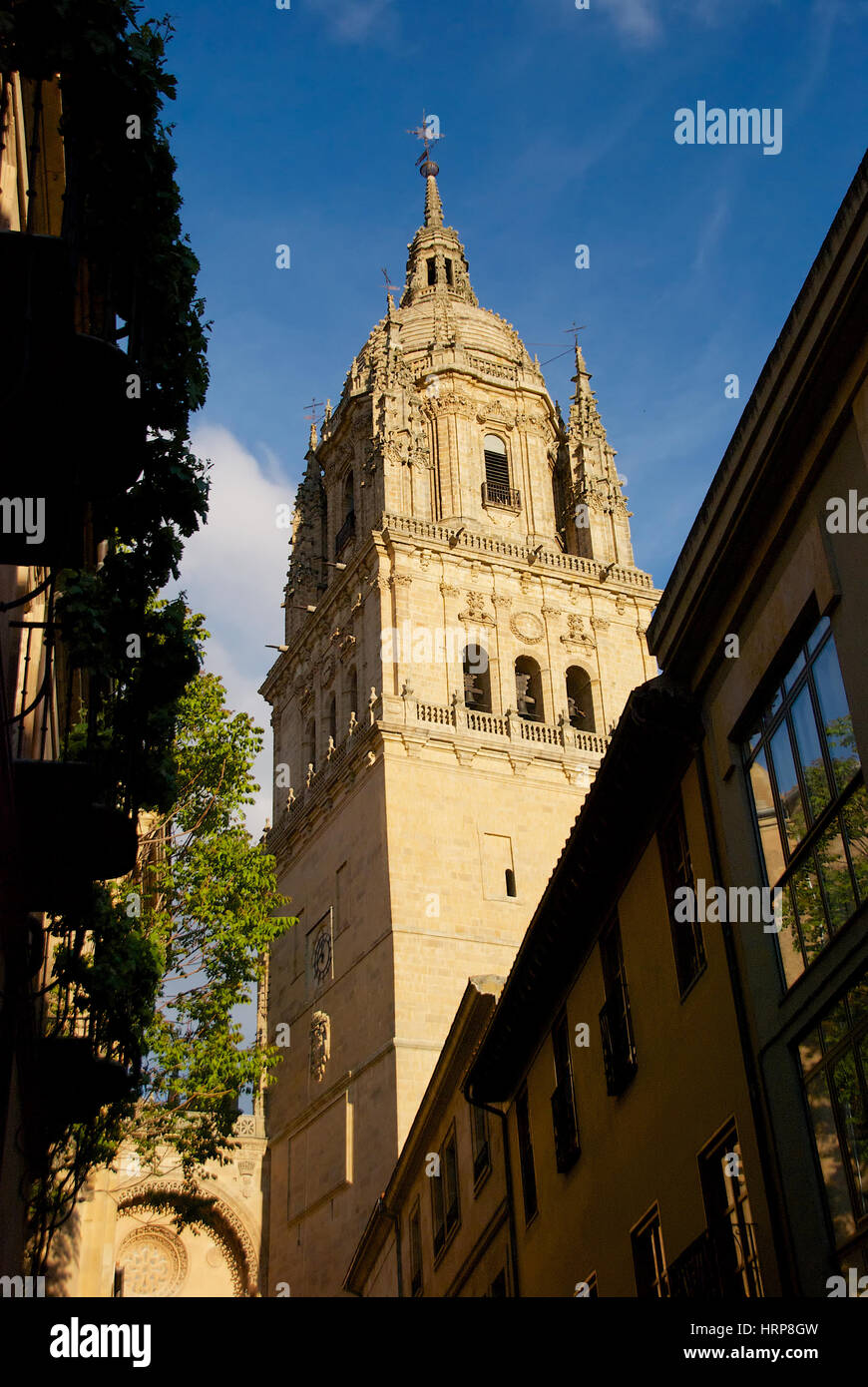 New Cathedral of Salamanca, Castile and León, Spain Stock Photo - Alamy