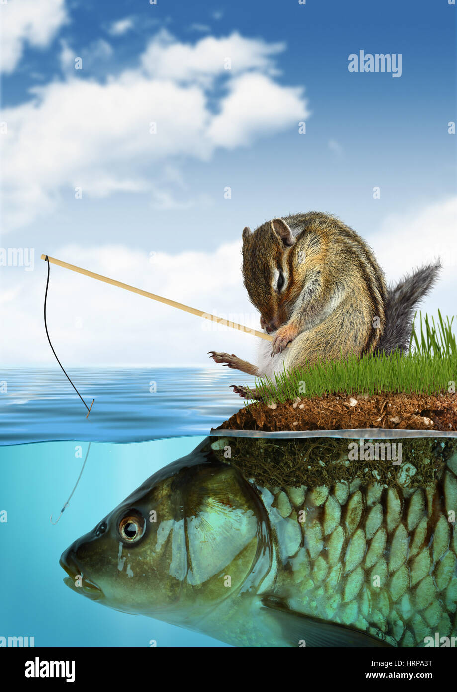 Unpredictable hi-res stock photography and images - Alamy