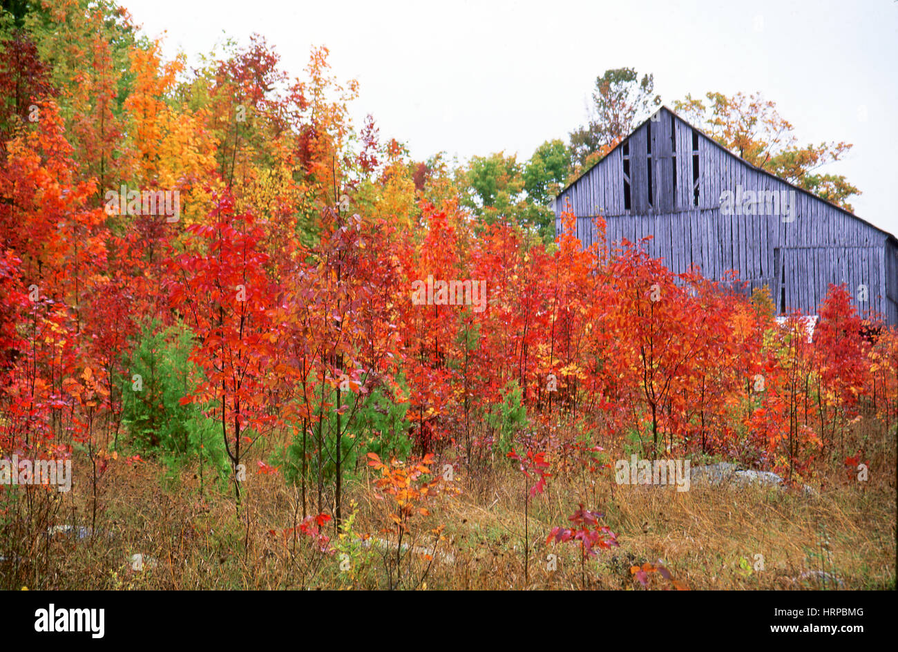 Manitoulin island hi-res stock photography and images - Alamy