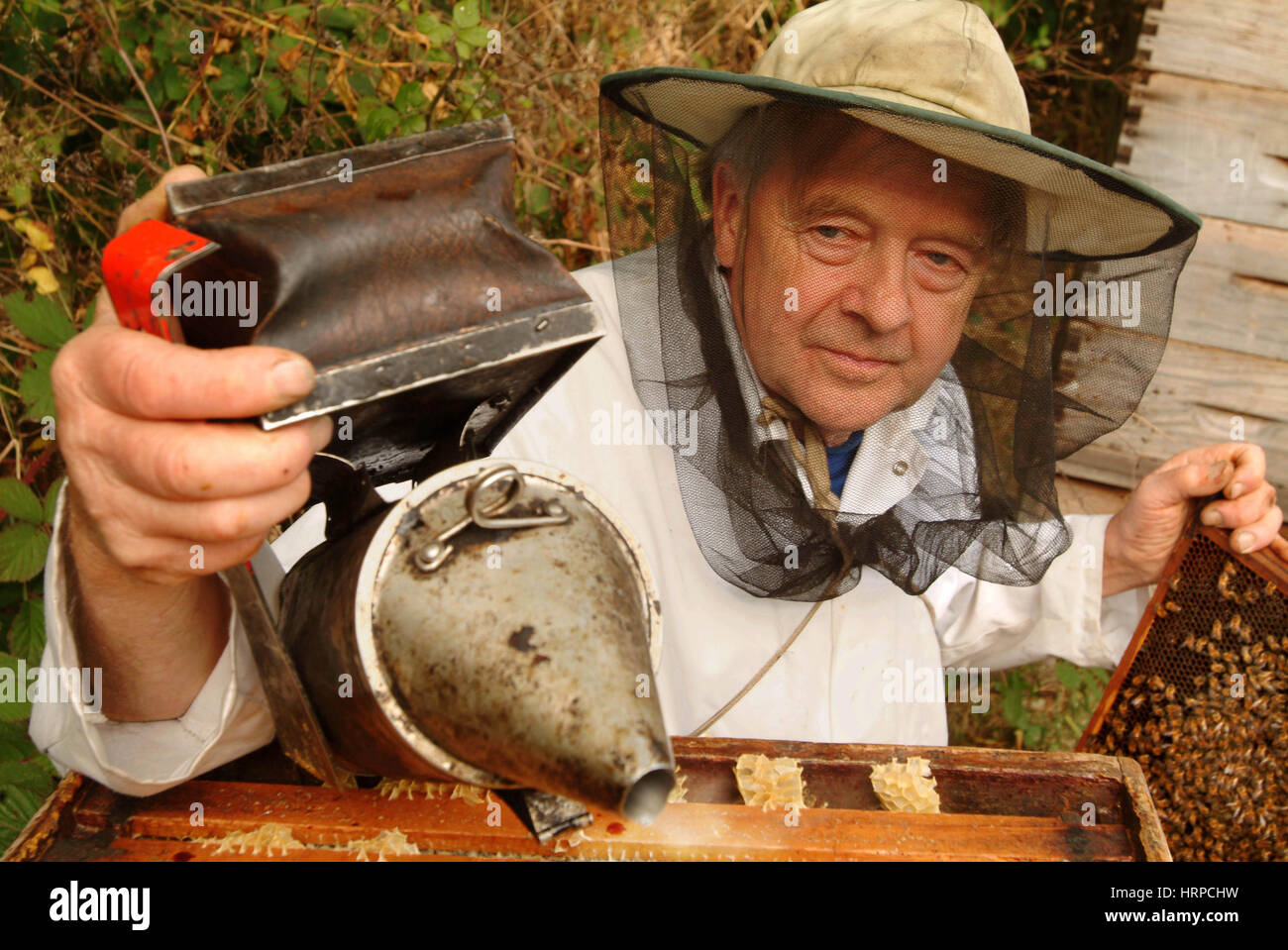 Beekeeper tending a hive hi-res stock photography and images - Alamy