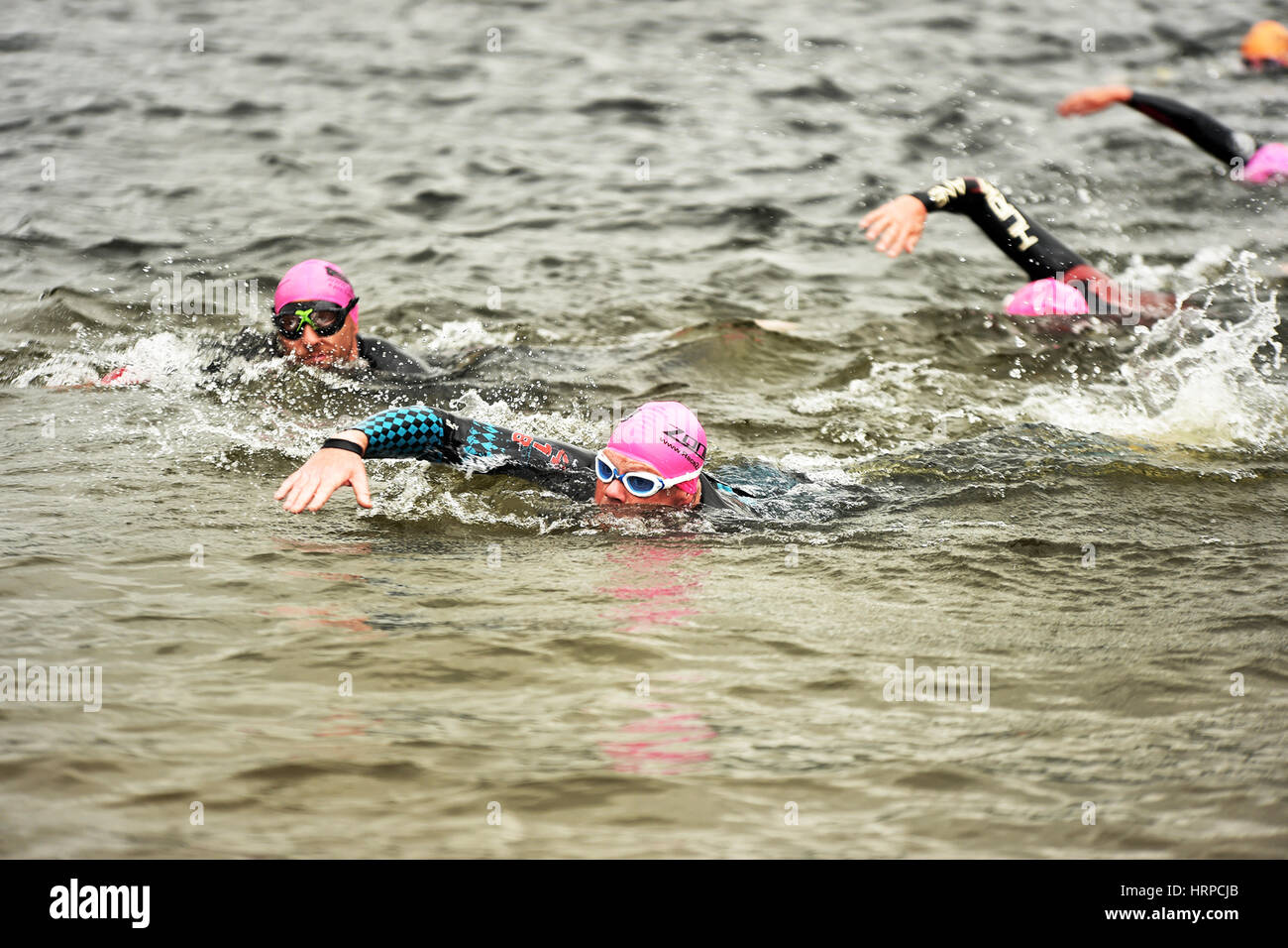 Swimmers finish the Ullswater Swim, Lake District UK Stock Photo - Alamy