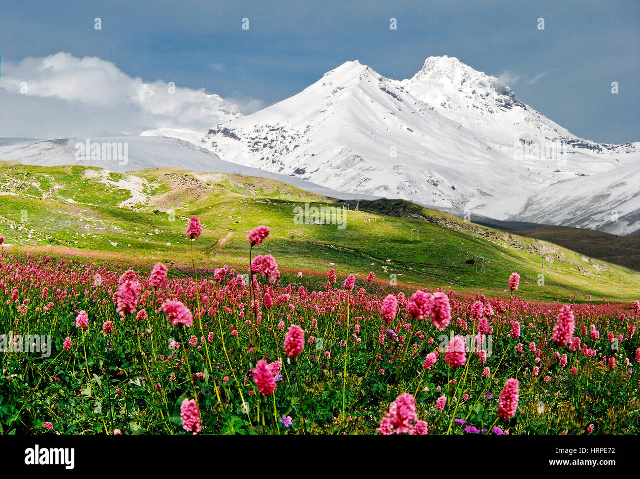 Beautiful Aragats mountain at spring,Transcaucasia,Armenia Stock Photo ...