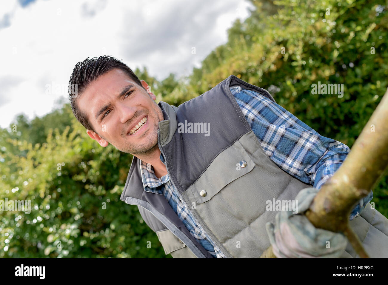 Gardener pulling a branch Stock Photo - Alamy