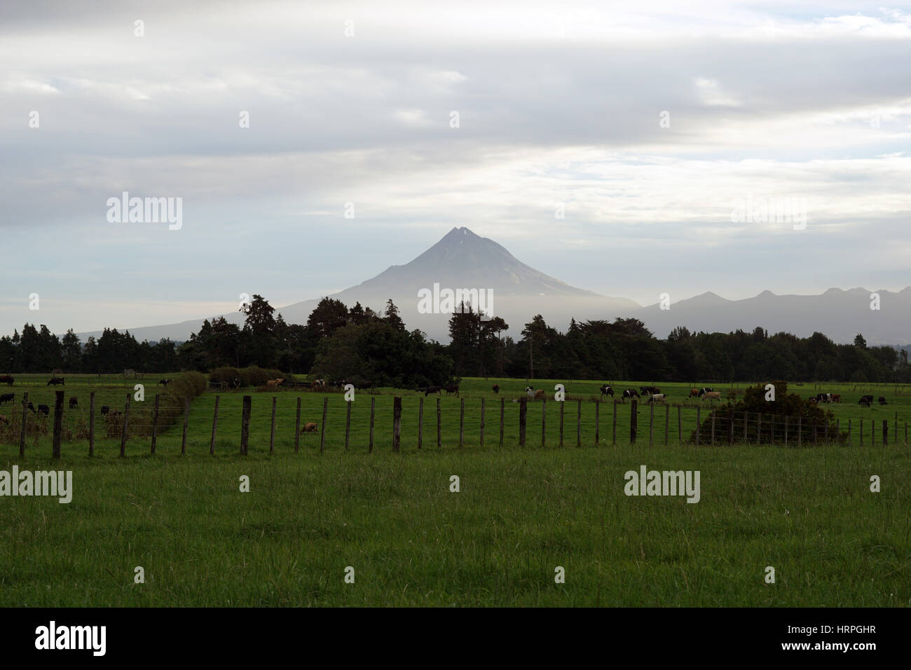 Maori mythology hi-res stock photography and images - Alamy