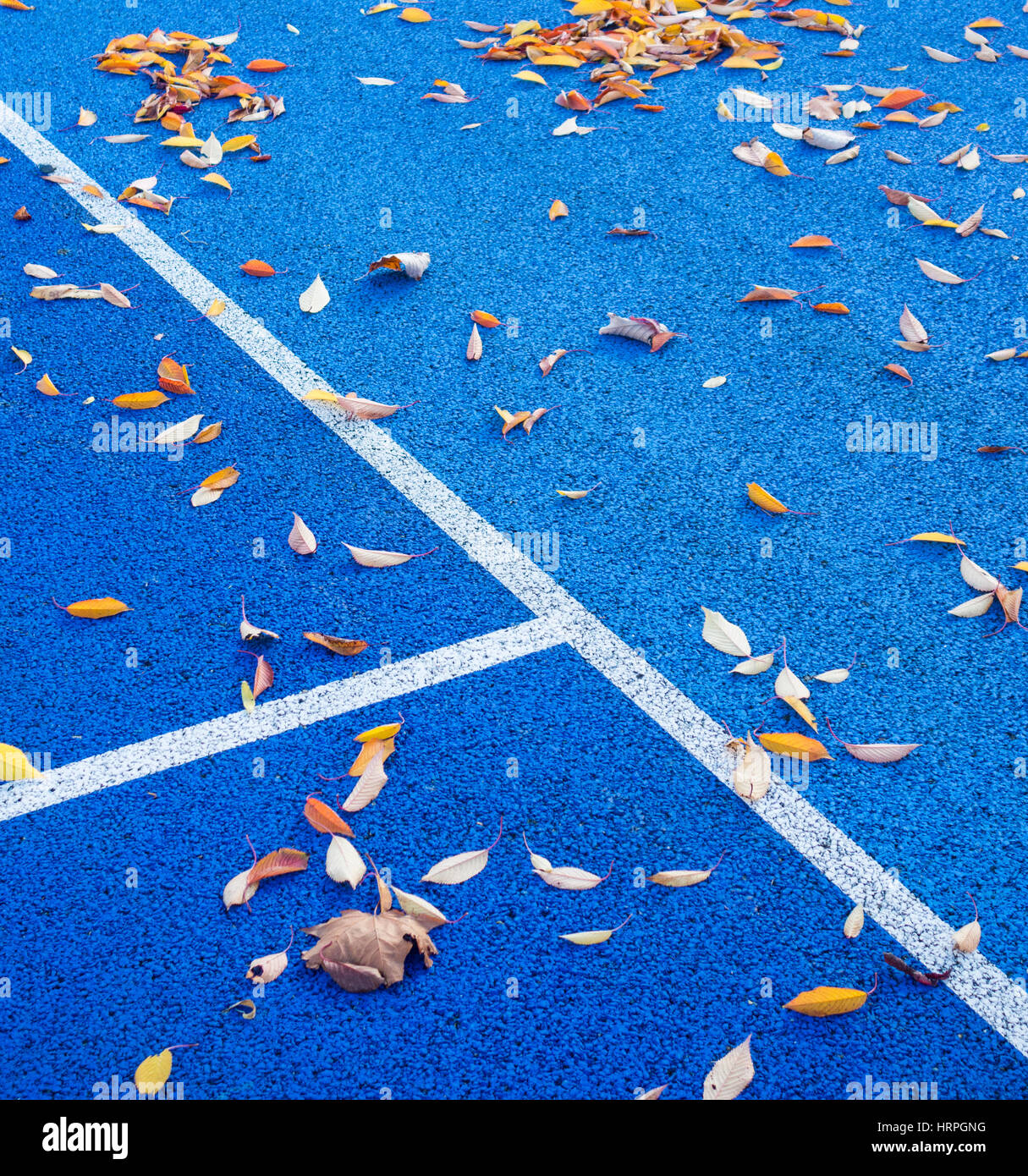 Tennis autumn hi-res stock photography and images - Alamy
