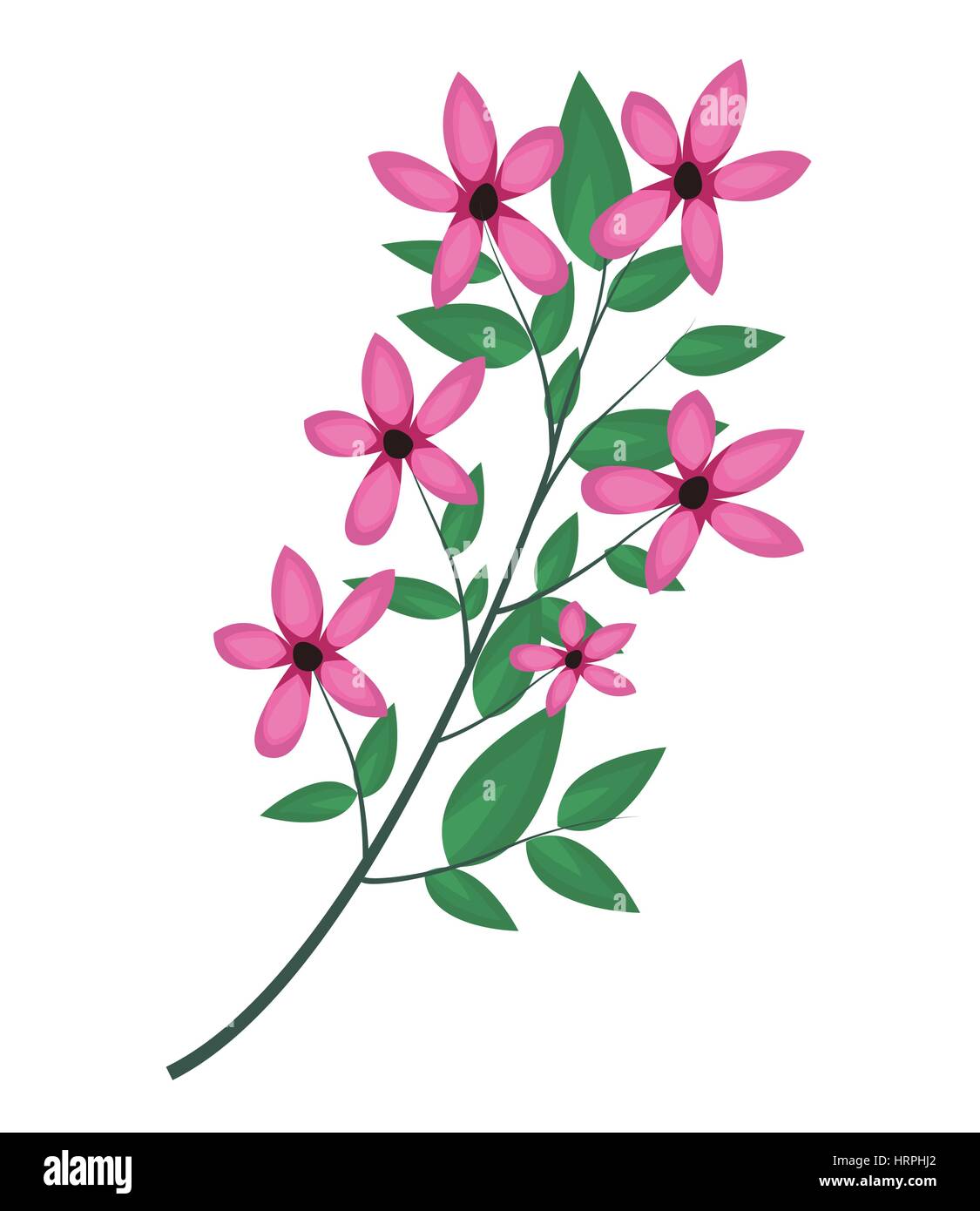 cosmos branch leaves image Stock Vector Image & Art - Alamy