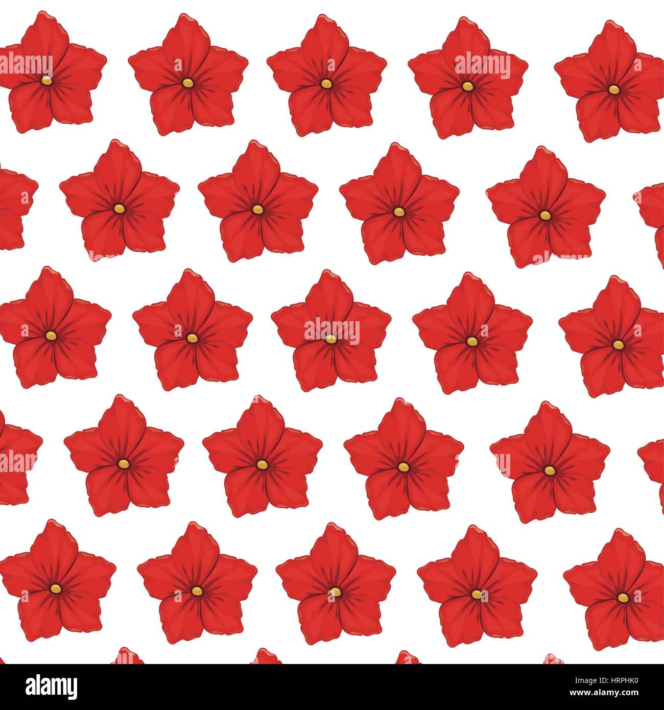 flower geranium wallpaper decoration Stock Vector Image & Art - Alamy