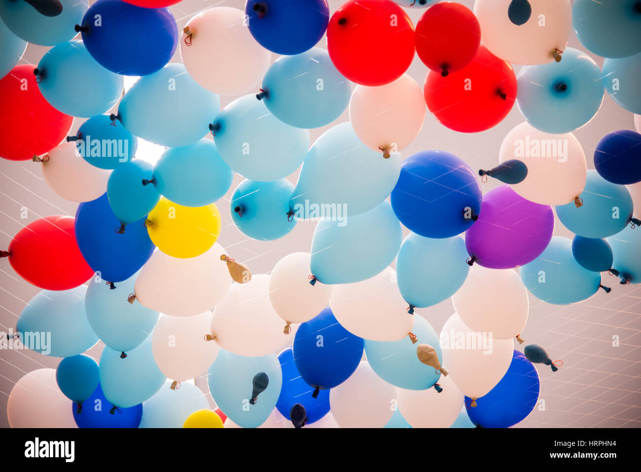 Colorful balloons with happy celebration Stock Photo - Alamy