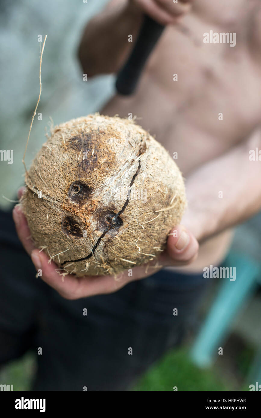Healthy coconut hi-res stock photography and images - Alamy