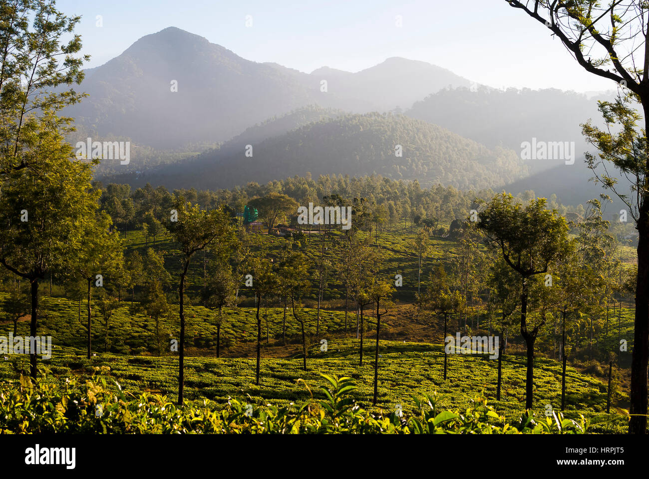 Valparai, India High Resolution Stock Photography and Images - Alamy