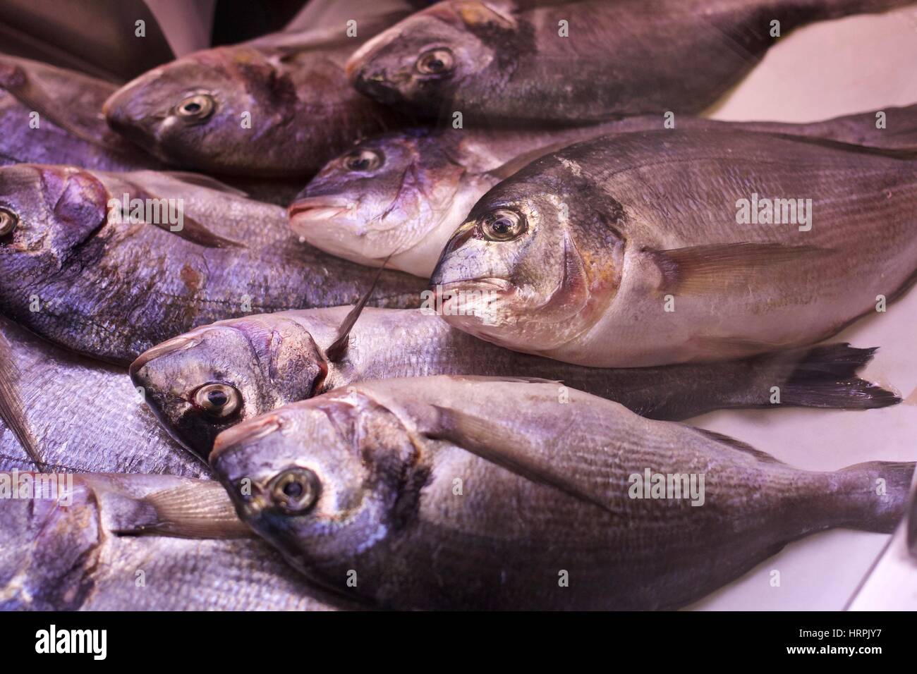 fish on display on a market stall Stock Photo - Alamy