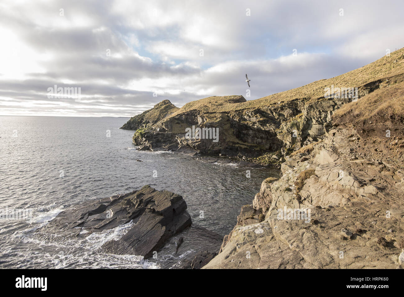 Images of Lerwick, Scotland. Lerwick is the main port of the Shetland ...