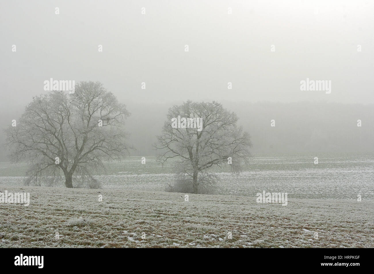 Winter landscape Luxembourg Stock Photo - Alamy