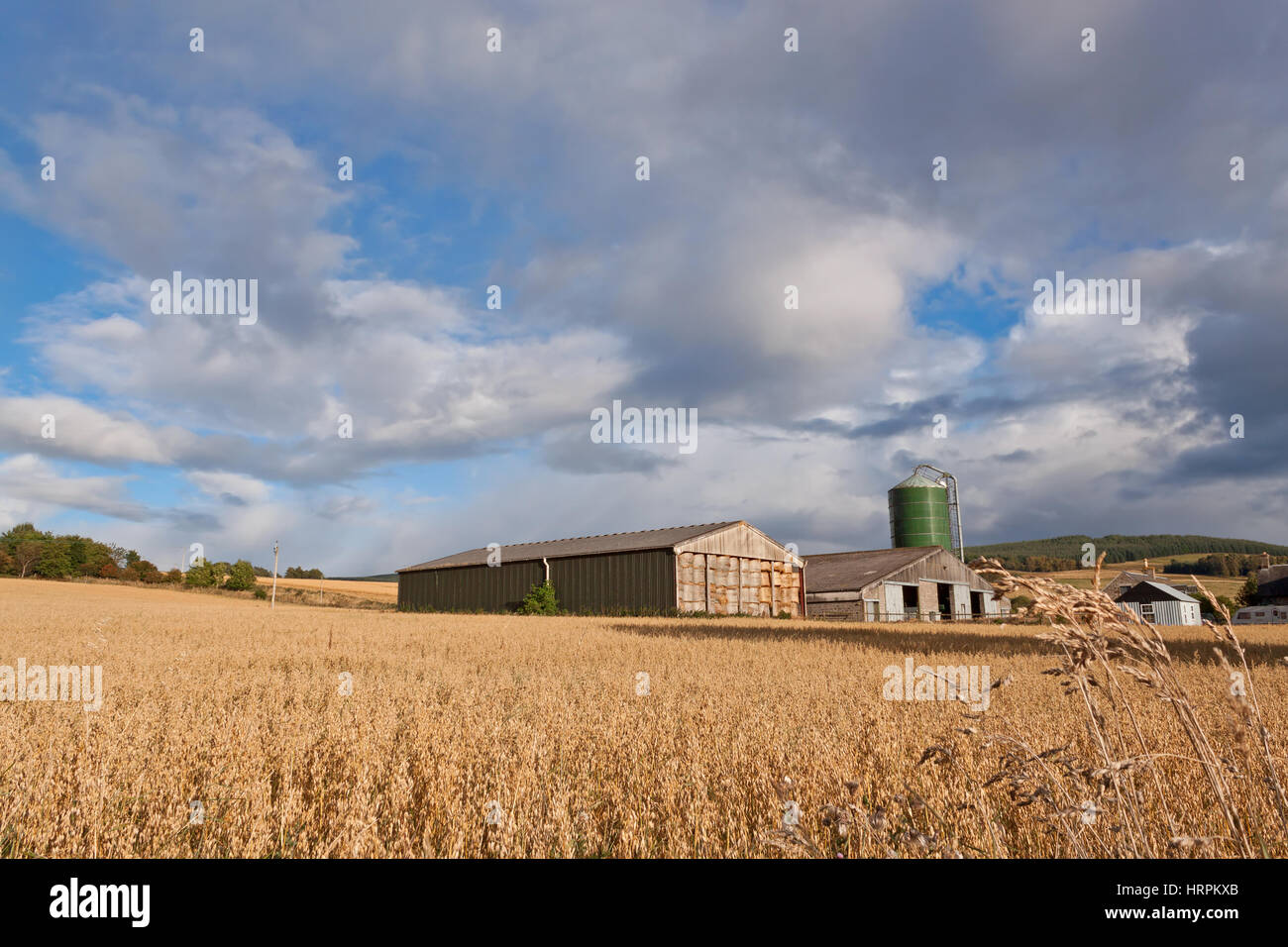 Grain silo uk hi-res stock photography and images - Alamy