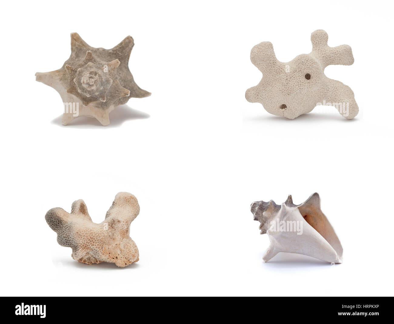 Coral sea beach Cut Out Stock Images & Pictures - Alamy