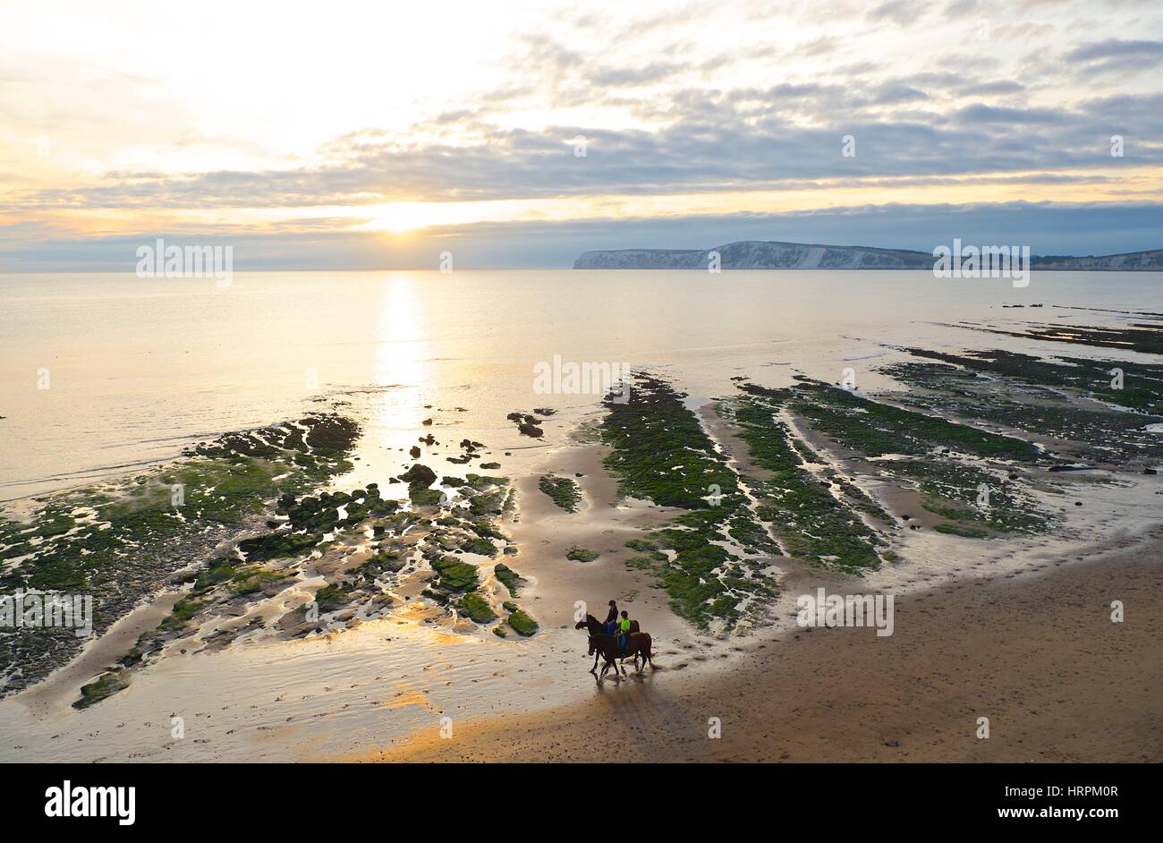 Fossils on the beach hi-res stock photography and images - Alamy