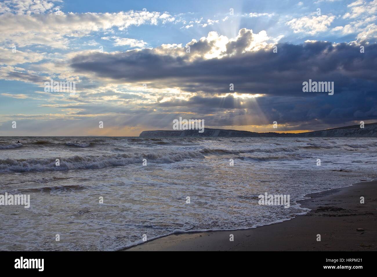 Isle of wight compton bay fossils hi-res stock photography and images ...