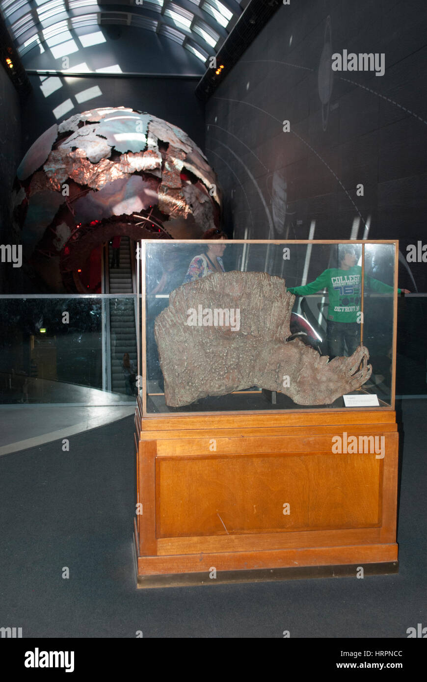 Geological rock specimen in The Atrium of the Geological Museum Stock ...