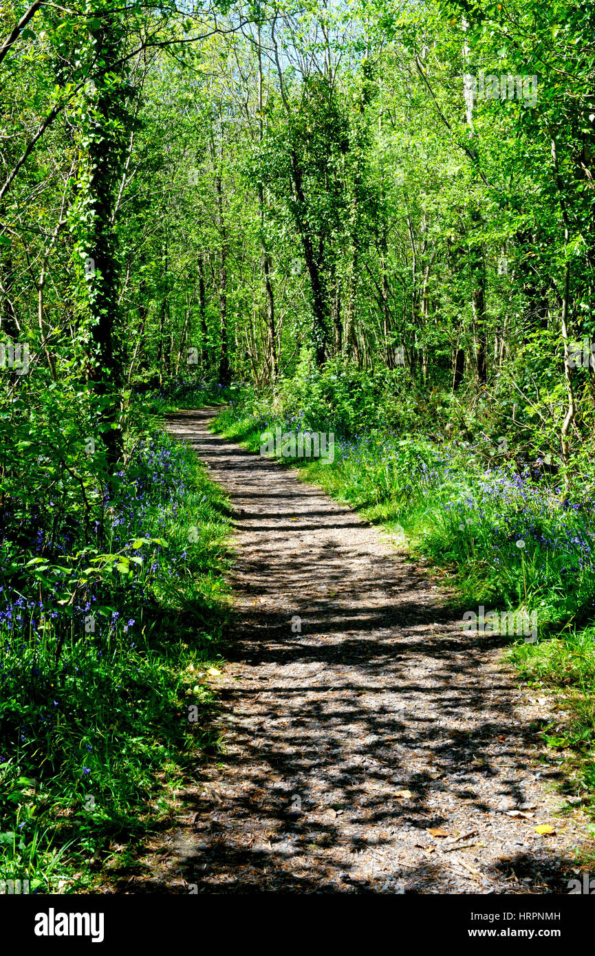 Weather spring ireland hi-res stock photography and images - Alamy