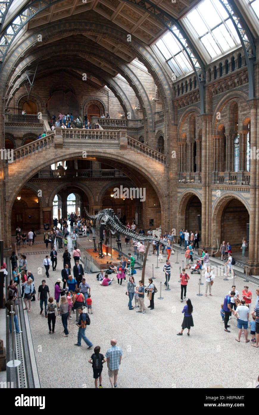 The Main hall / Hintz Hall in the Natural History Museum, London with ...