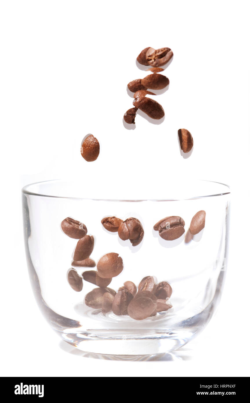 Coffee bean fruit Cut Out Stock Images & Pictures - Alamy