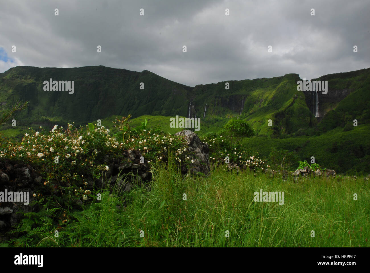 Flores landscape hi-res stock photography and images - Alamy