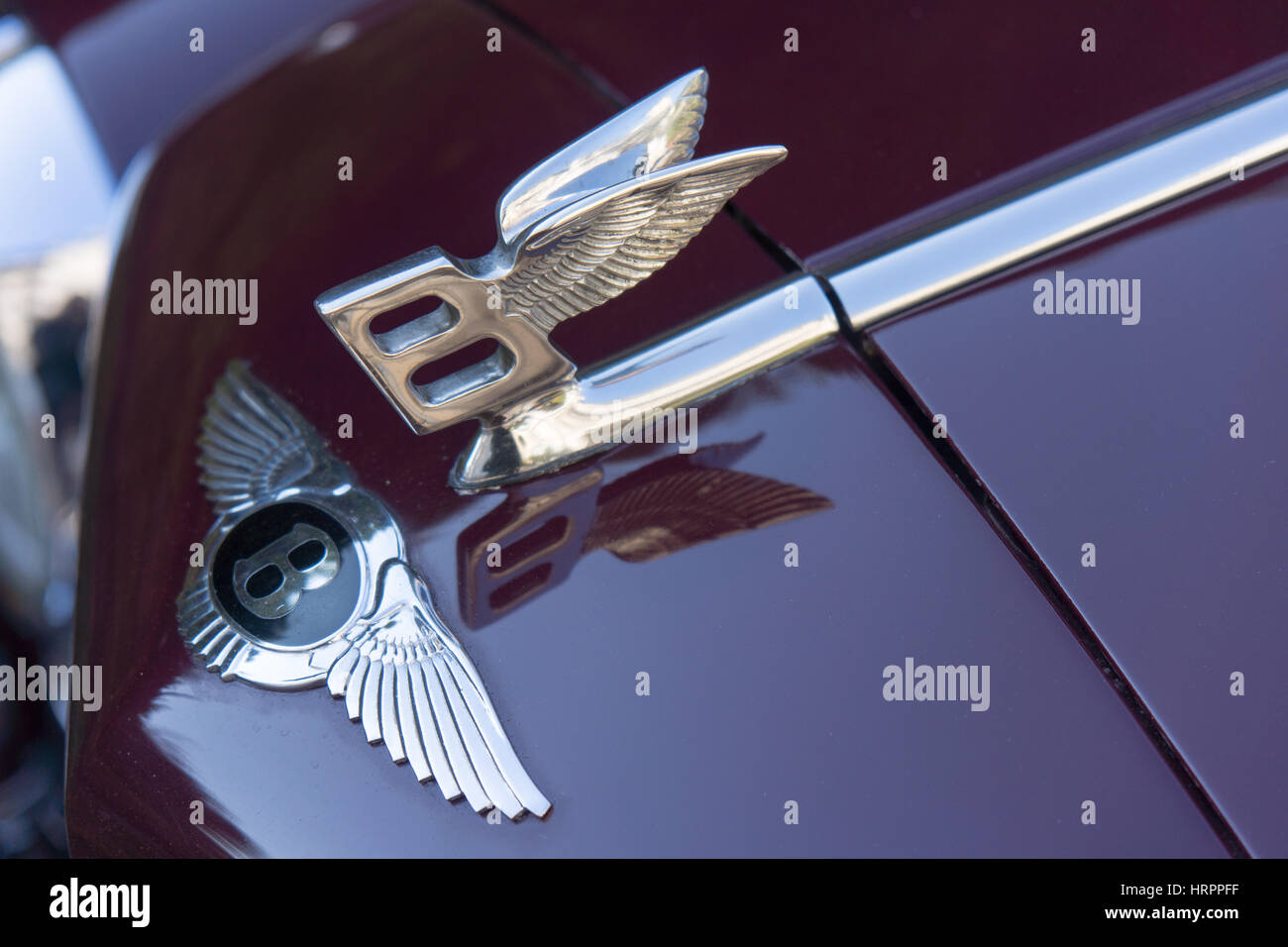 Winged bonnet hi-res stock photography and images - Alamy