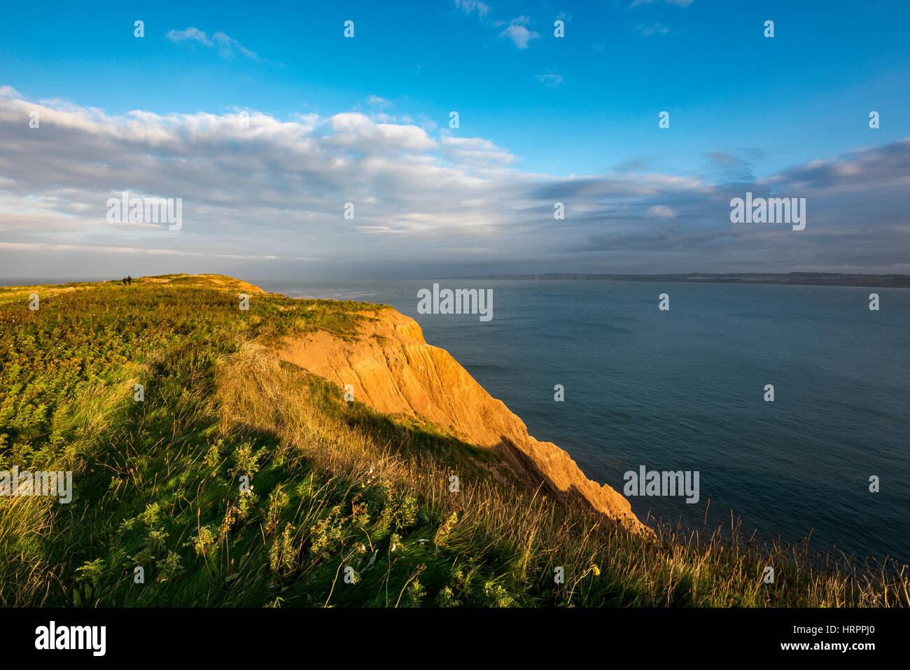 Evening sunlight on the cliffs at Filey Brigg at Filey on the coast of ...