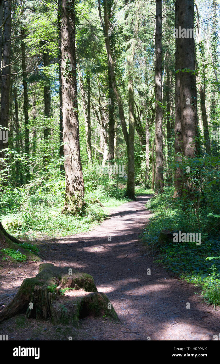 Sunshyne hi-res stock photography and images - Alamy