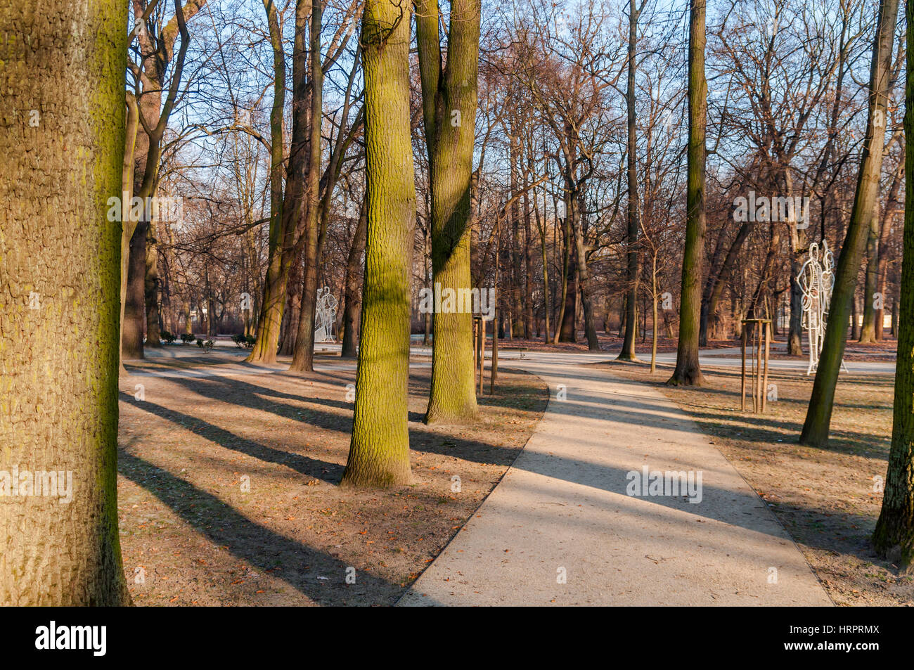 The stone path in the city park with lot tree and path Stock Photo - Alamy