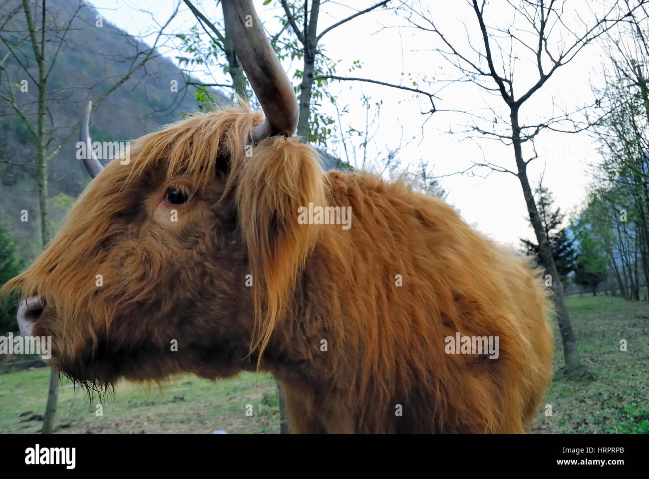 Posina High Resolution Stock Photography and Images - Alamy