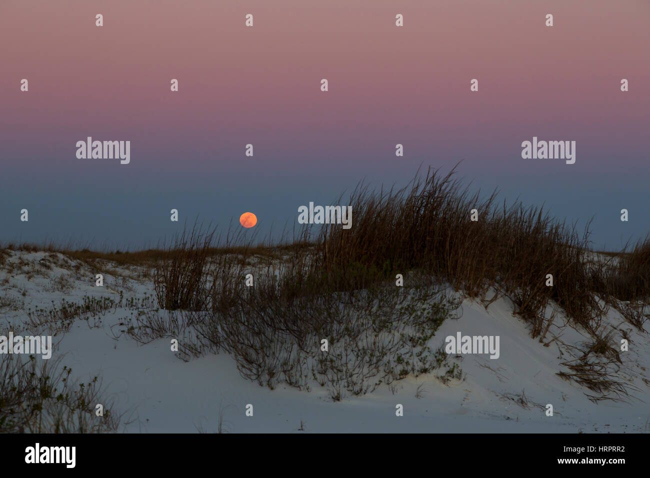 Gulf islands national seashore hi-res stock photography and images - Alamy